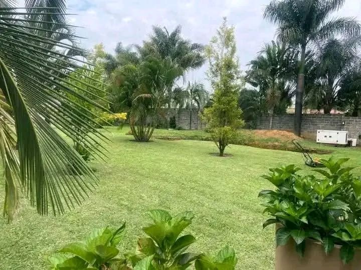 Houses for sale in Kitwe | BE FORWARD Homes