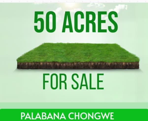 50 ACRES PALABANA CHONGWE | BE FORWARD Homes